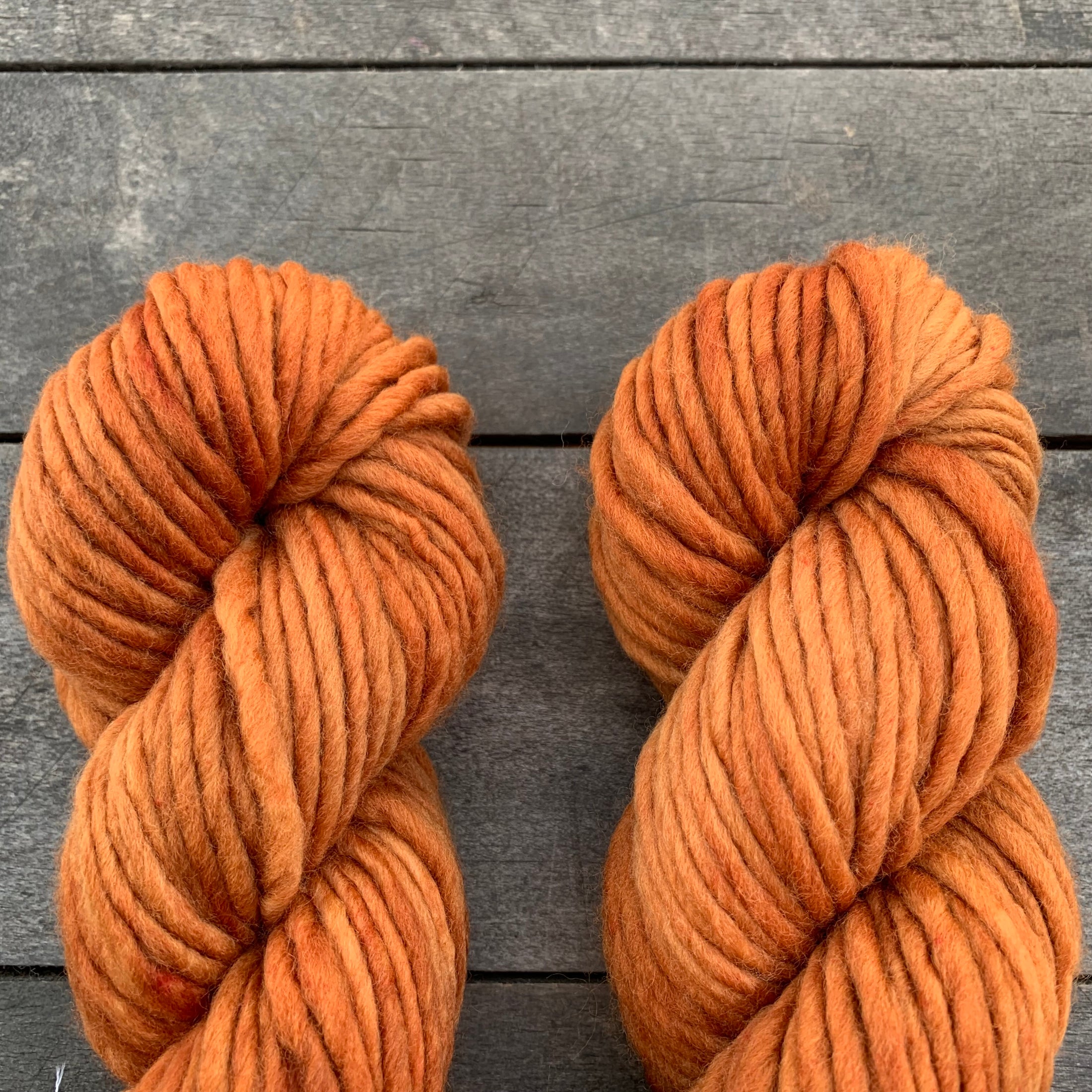 ginger snap – Lichen and Lace