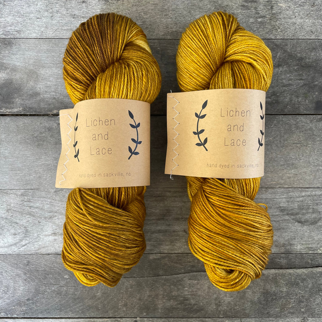 amber – Lichen and Lace